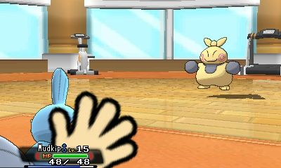 Pokemon Omega Ruby and Alpha Sapphire introduces Gym leaders, Elite ...